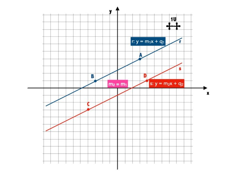 La retta: cos’è, formule ed esercizi