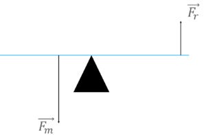 Le leve: formule, tipi, esempi