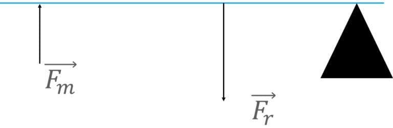 Le leve: formule, tipi, esempi