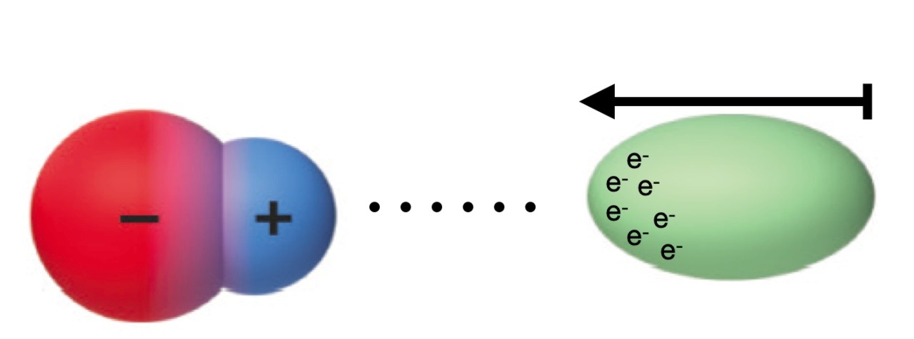 Quali sono i legami deboli in chimica