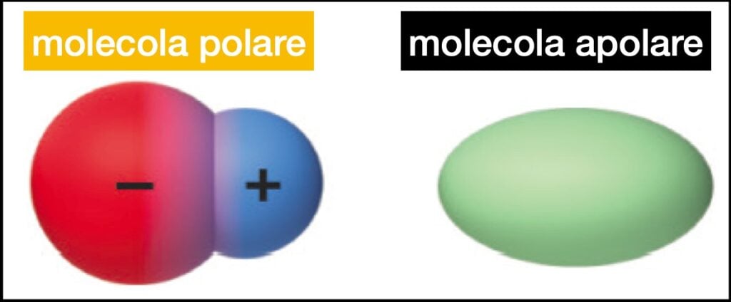 Quali sono i legami deboli in chimica