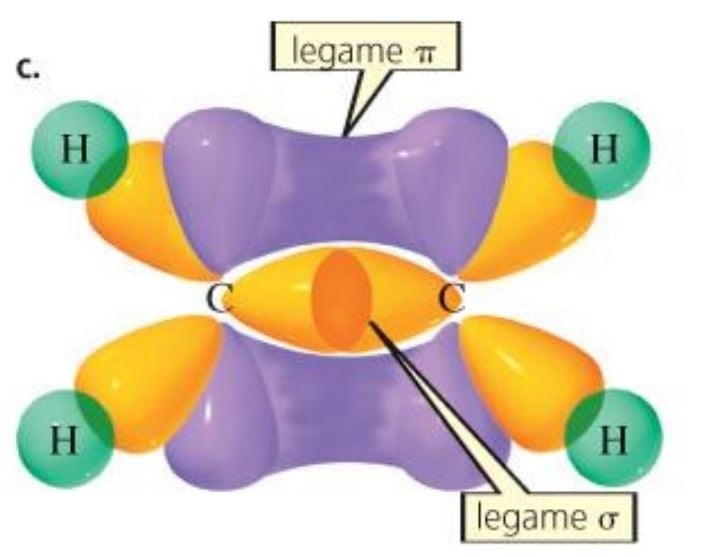 Legami covalenti: cosa sono e quali